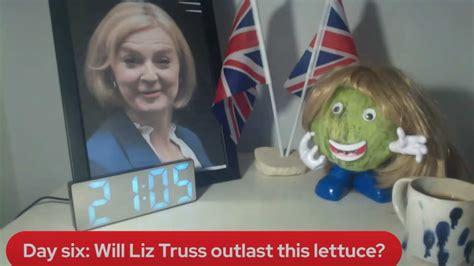 This Lettuce With A Wig Outlasted Uk Prime Minister Liz Truss Sbs News