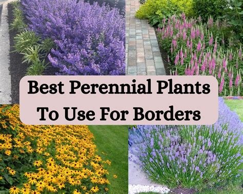 The Best Front Yard Landscaping Ideas