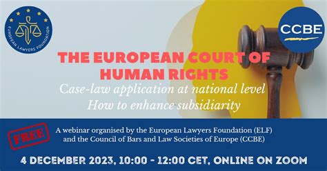 Echr Blog Webinar On The Ecthr And Domestic Case Law Application