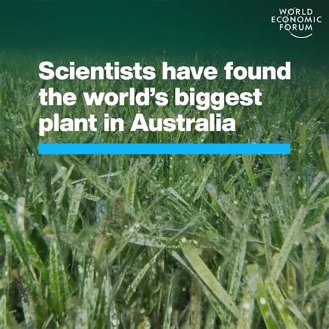 Dr Tanmoy Sarkar Posted On Linkedin