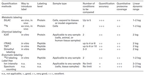 Quantitative Proteomics Analysis Services Mtoz Biolabs