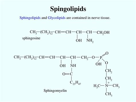 Ppt Structure And Chemical Properties Of Carboxylic Acids Lipids Powerpoint Presentation Id