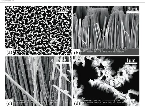 Figure 1 From Silicon Nanowire Arraycu2o Crystalline Coreshell Nanosystem For Solar Driven