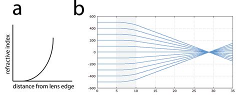 Peering Beyond The Surface With Gradient Index Lenses