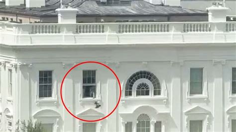 Watch Viral Video Shows Mysterious Objects Being Tossed From White