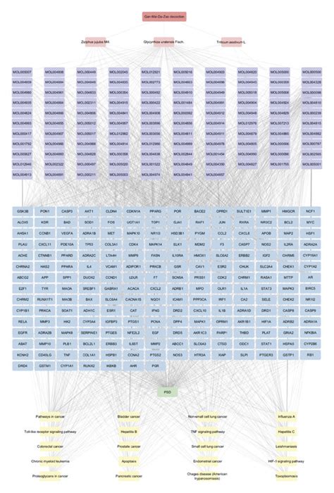 Network Diagram Containing Pathway Enrichment Analysis The Different