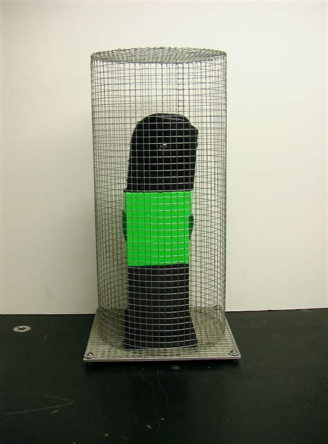 Radio Shack Faraday Cage Department Of Physics Csu