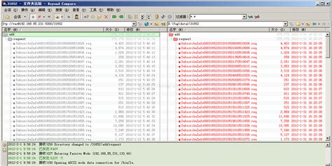 文件对比工具beyond compare使用方法 bcompare bycompare csdn博客