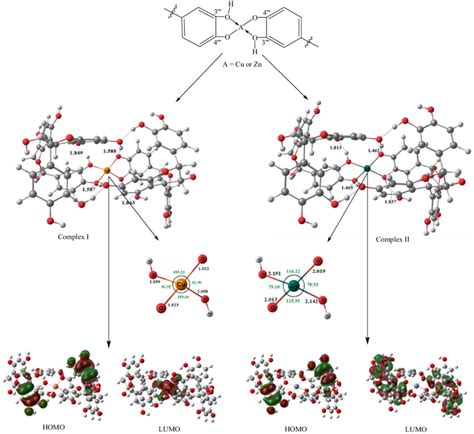The Optimized Complex I Cu Pb1 2 And Complex Ii Zn Pb1 2 And Their Download Scientific