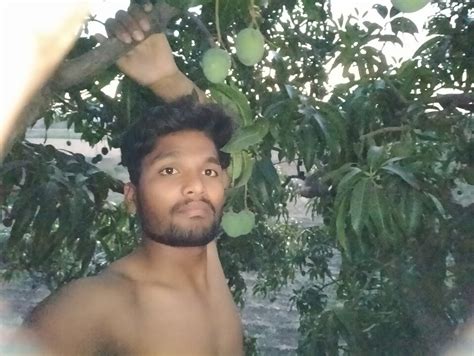 Crispy Mango Tree Part 1 Funny Moments For Sexi Talking Voice Video Of Him Suking One The