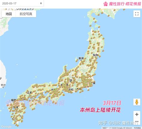 【主题·季节】2020樱花情报汇总（3月2日） 知乎