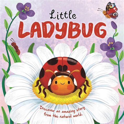 Igloo Books Little Ladybug Bump Boxes