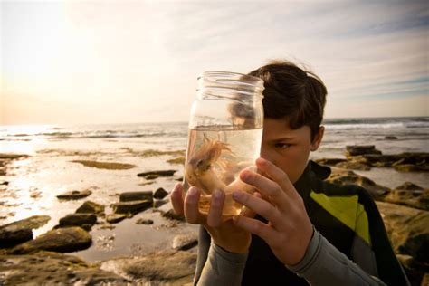 Our Pick Of Events This National Science Week Australian Geographic