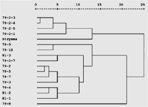 Dendrogram For Studied Pepper Plant Regenerants Based On Fruit