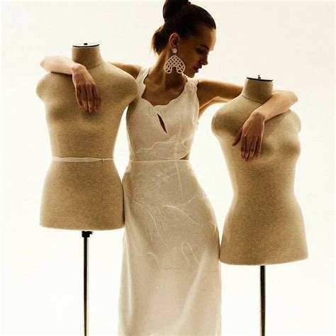 Evelina Model Agent Group