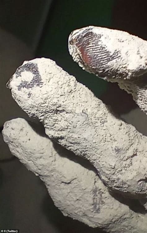 Mystery Around Controversial Peru Alien Mummies Deepens After New