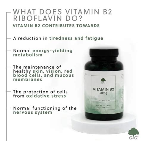 Gandg Vitamins The Wellness Store®