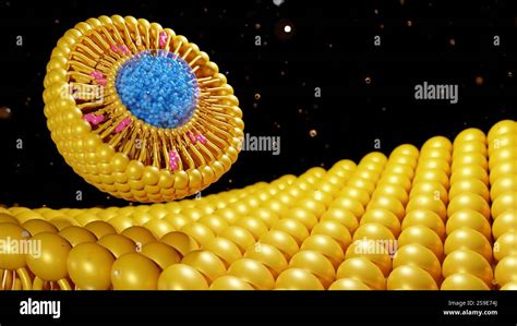 3d Rendering Of Nanomedicine Inside Of Liposome Lipid Bilayer With