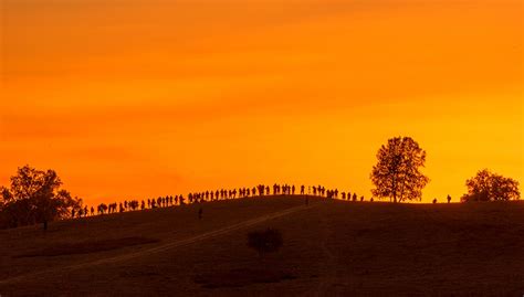 马丽华作品 图集 影像中国网 中国摄影家协会主办