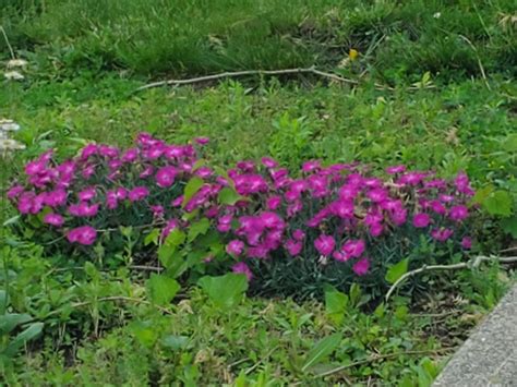 Lisa Balthaser Lisa Balthaser Added A New Photo