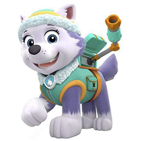 Los Personajes De La Patrulla Canina Paw Patrol ¡descubrelos Everest Paw Patrol Paw Patrol