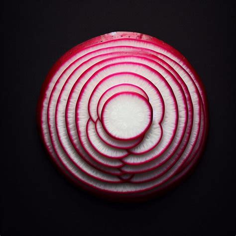 Premium Photo A Sliced Circular Red Radish Root Shown From The Top View Fanned Out To Display