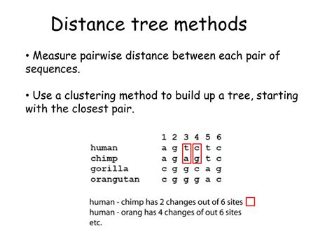 ppt computing a tree powerpoint presentation free download id 5301762