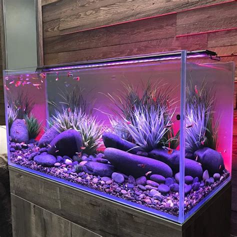 4 Pilihan Lampu Hias Aquarium Cantik Dan Unik