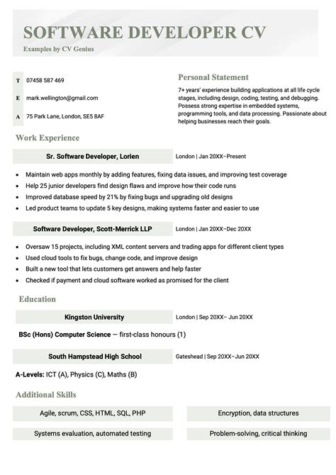 Software Developer Cv Example Template And Writing Guide