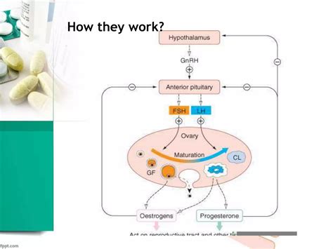 Ocp Oral Contraceptive Pills Pptx
