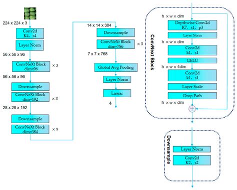 Tree Species Classification In Uav Remote Sensing Images Based On Super Resolution