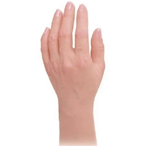 Pvc Cosmetic Upper Limb Prosthesis At Best Price In Lucknow By Endolite