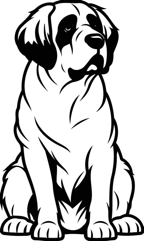 A Simple Yet Striking Black And White Illustration Of A Saint Bernard