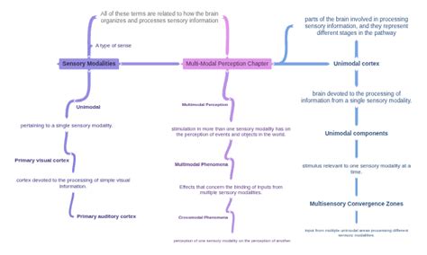 Multi Modal Perception Chapter All Of These Terms Are Related To How The