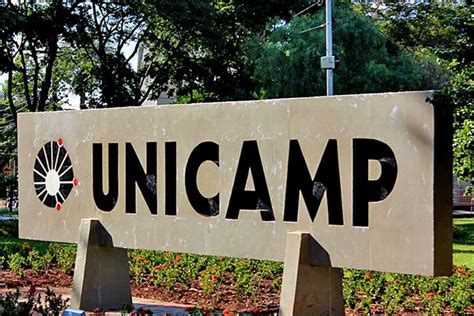 Unicamp Oferece 14 Cursos De Graça Com Opção De Certificado Saiba Tudo