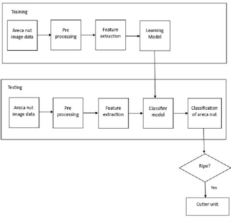 Figure 1 From Ripeness Detection Of Areca Nut Using Vgg 16 Semantic