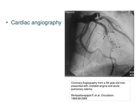 Cardiovascular Physiology （心血管生理学） Ppt Download