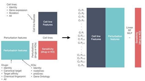 Multi Perturbation Ml Models Are Frequently Used To Predict Drug Sensitivity Or Gene