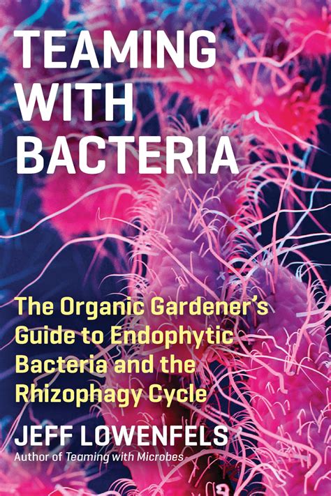 Endophytic Bacteria Proposed Model Of Movements Of Seed Inhabiting