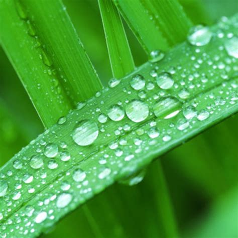 Xiaobin Xie Phd Candidate Wuhan University Of Technology Wuhan Whut Research Profile