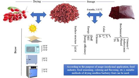 Foods Free Full Text Interaction Of Different Drying Methods And