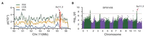 Applications Of Metabolomics In Agriculture And Breedingrn Metwarebio