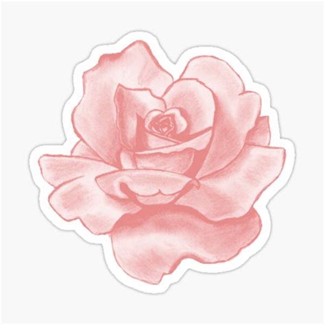 Pink Rose Sticker By Emilyweis1001