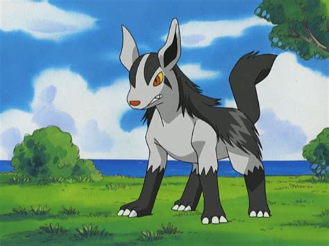 Tabithas Mightyena Pokémon Wiki Fandom Powered By Wikia