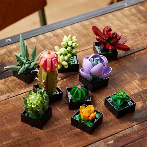 Pin By Jessica Jury On Lego Succulent Display Succulents House