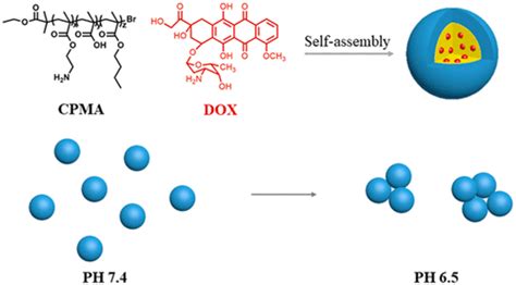 Mixed Charged Zwitterionic Polymeric Micelles For Tumor Acidic Environment Responsive