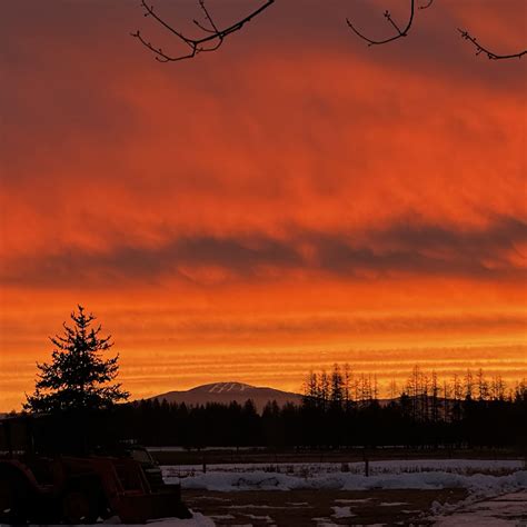 Caleb Triplett Youtube