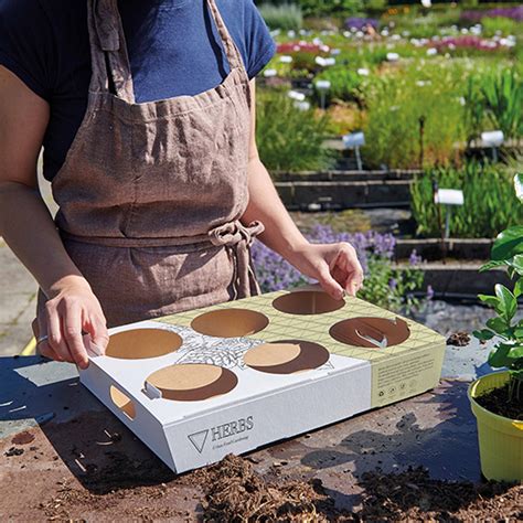 Plant Pot Trays Innovative Transportation Packaging • Solidus