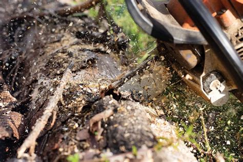 Beaver Dam Tree Service 1eighty Digital