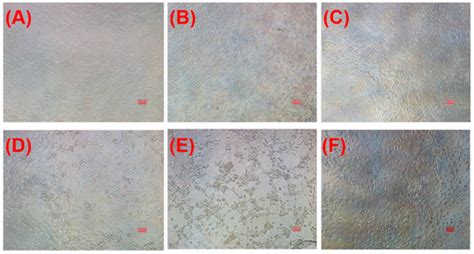 Biomolecules July 2023 Browse Articles